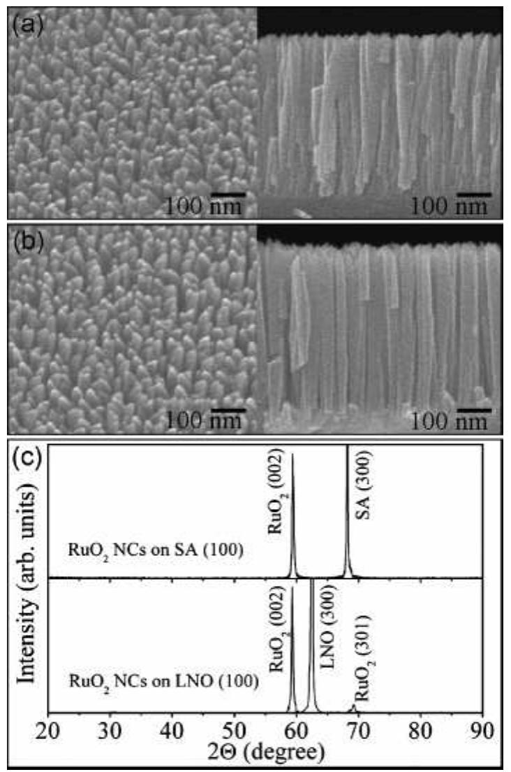 Typical fesem images (30° perspective view and cross-