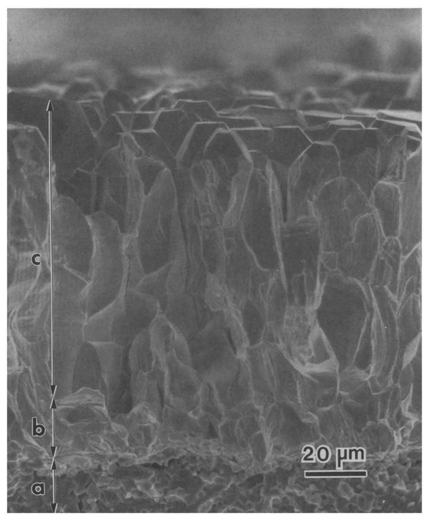 Fracture cross section of cvd rhenium deposit on molybdenum