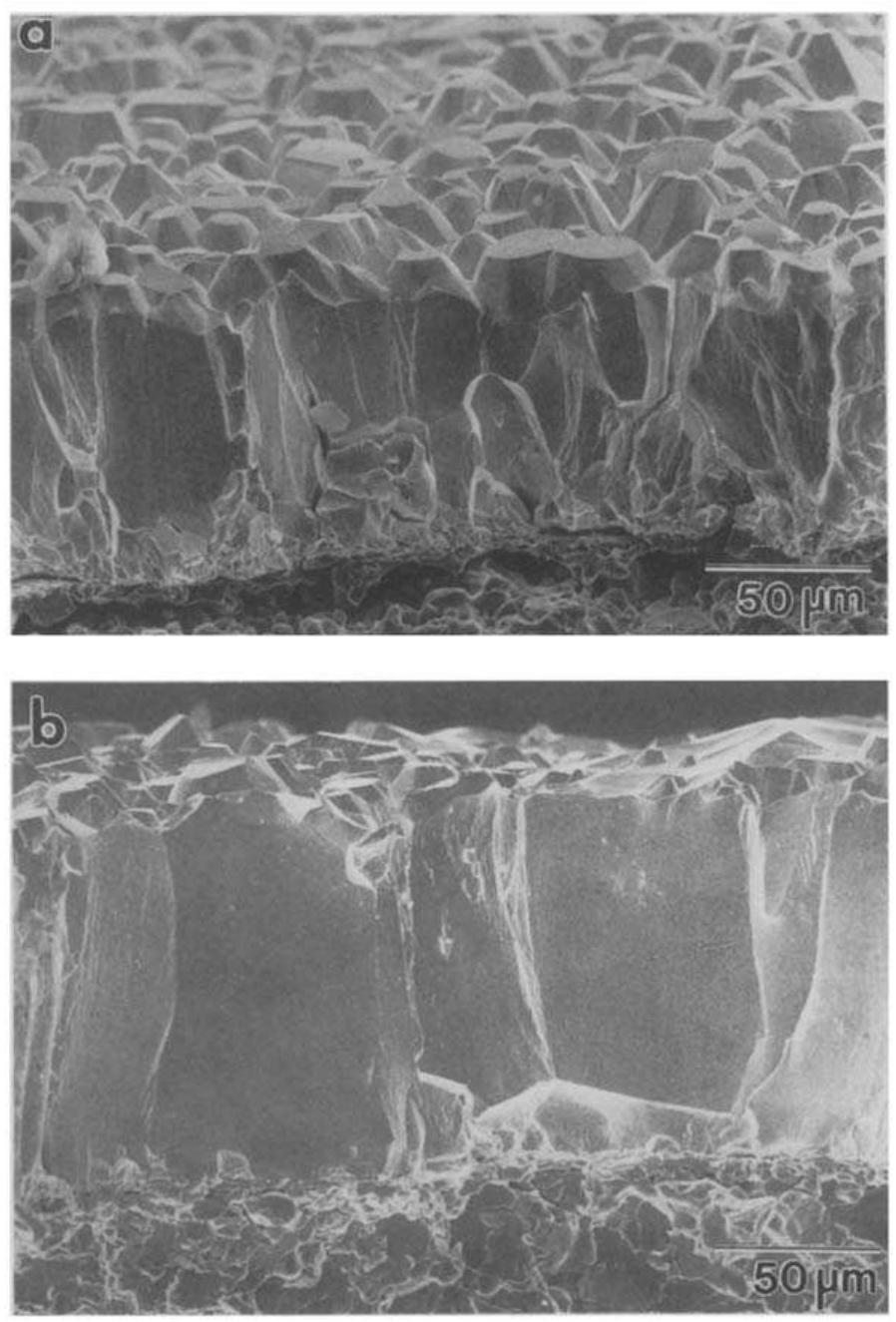 Sem micrographs of fracture cross sections of cvd rhe- nium.