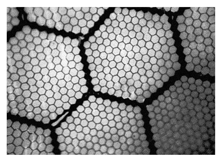 , honeycomb array of fused hexagonal capillaries. dark