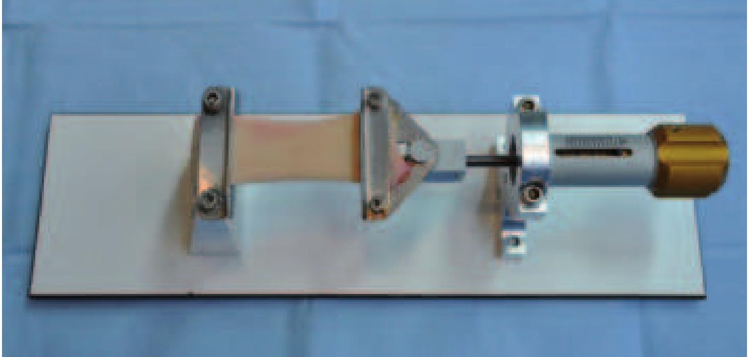 Experimental setup. a strip of human skin was stretched with