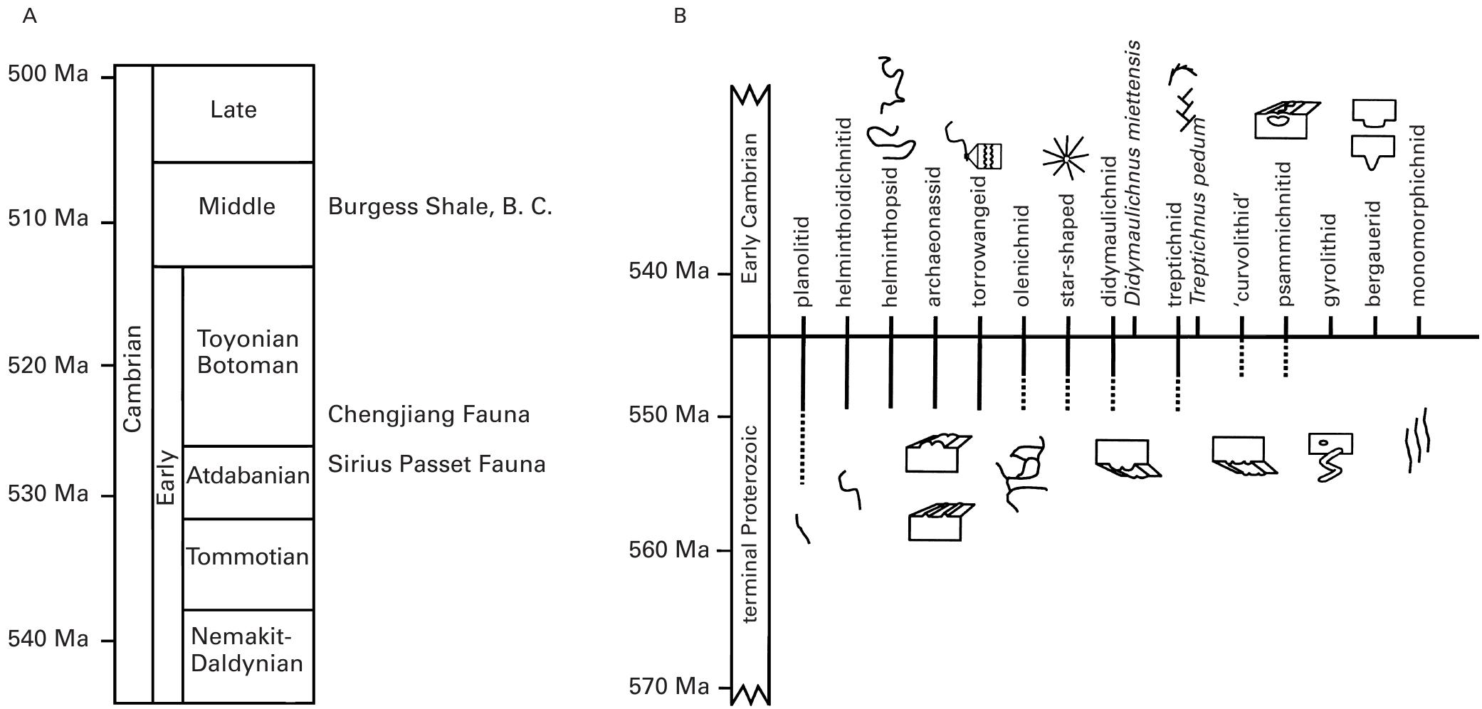 (a) composite time scale and stratigraphic sequence of the