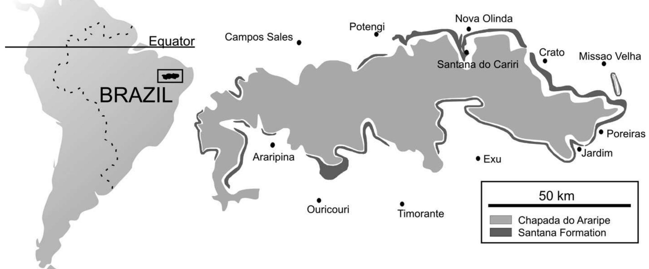 Location of the chapada do araripe, north east brazil and