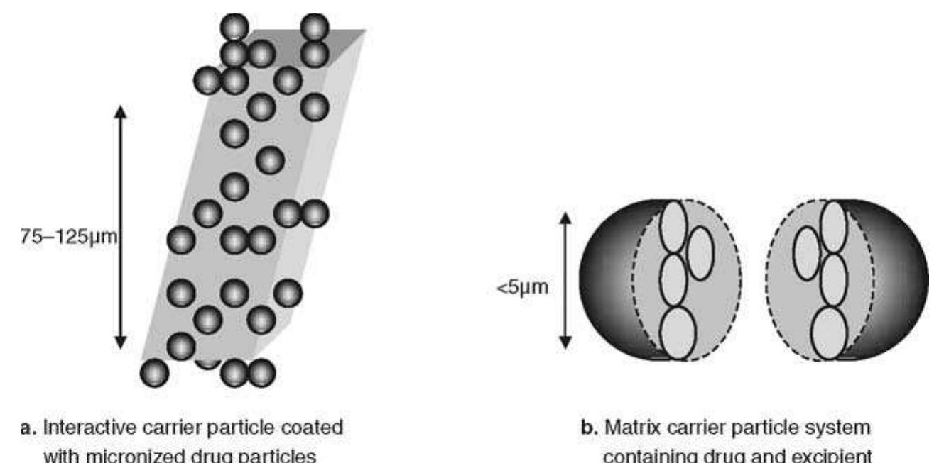 Illustration of the difference in the function of carrier