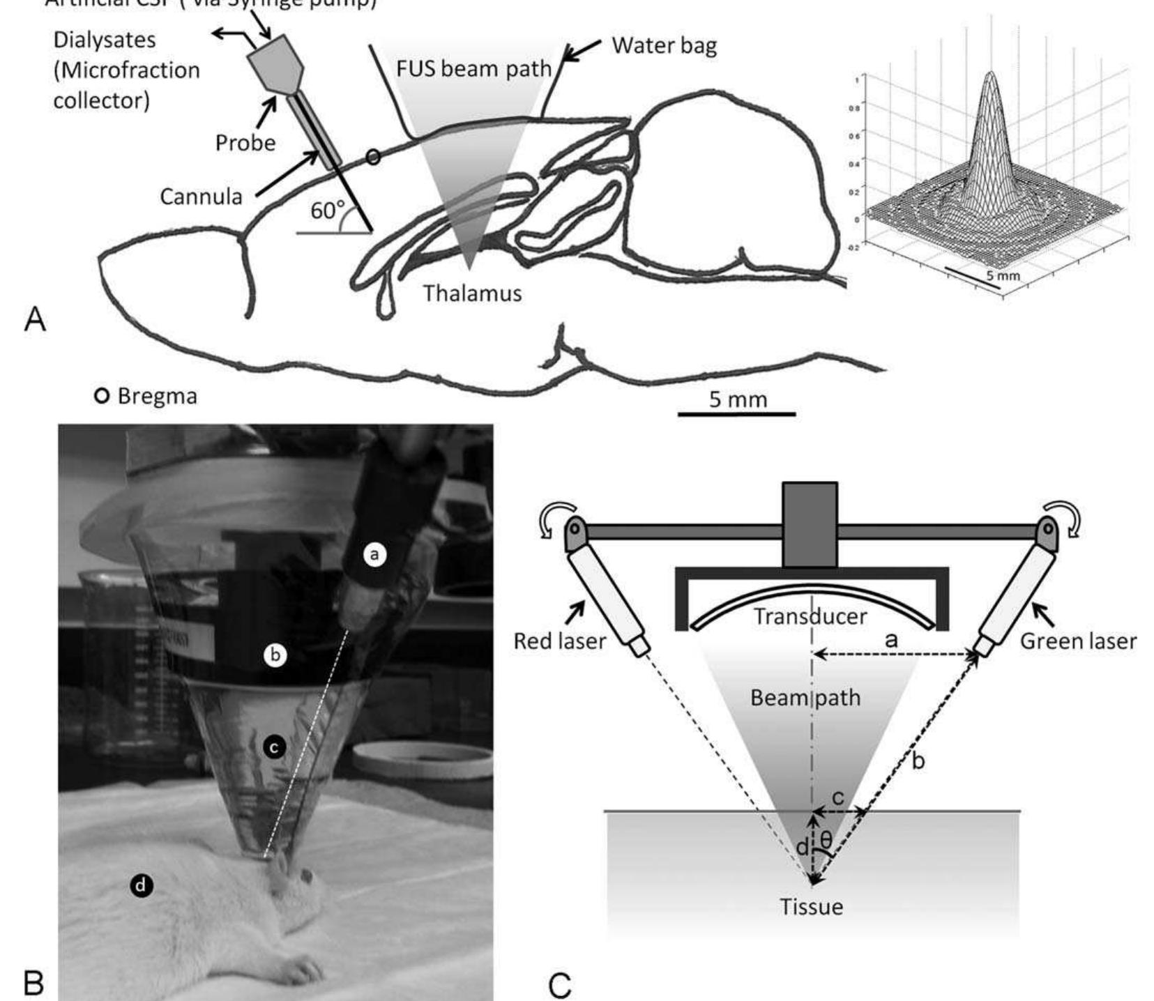(a) schematic diagram of the sonication path and the