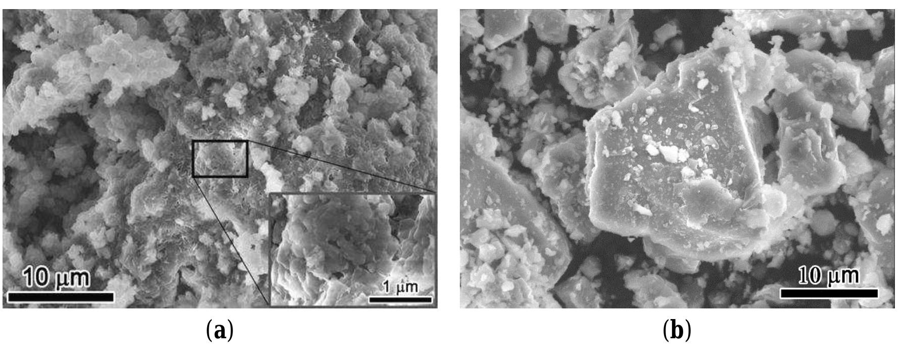 (a) sem image of rcp; (b) sem image of opc. testing results