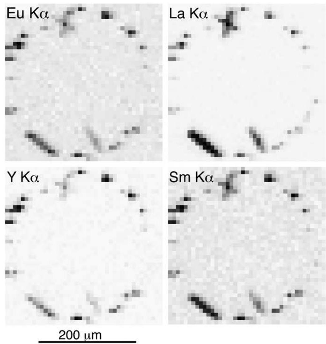 Xrf intensity maps of fluorescence lines as indicated of