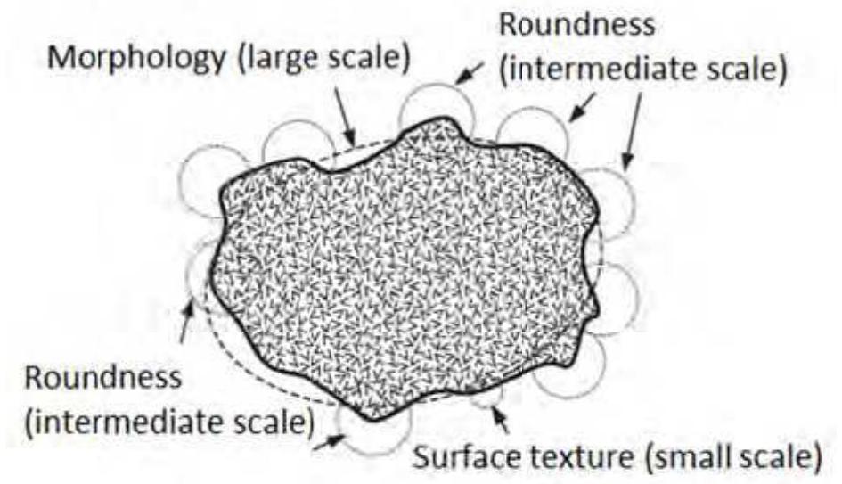 In order to describe the particle shape in detail, there are