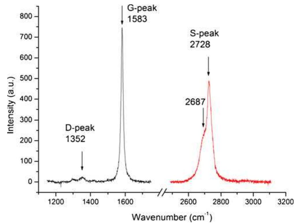 First- and second-order raman spectra of graphite from el