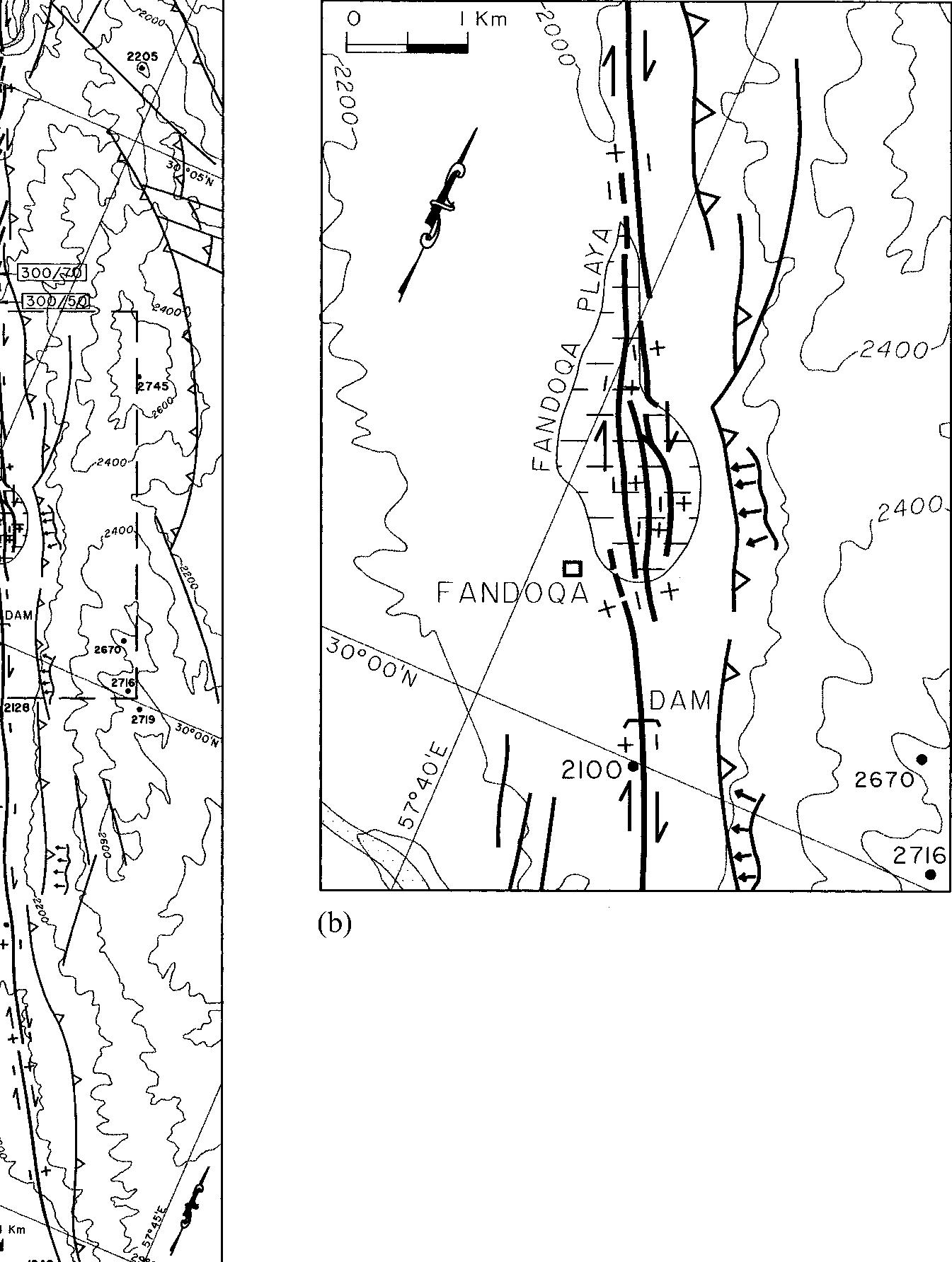 (a) detailed map of the coseismic ruptures (thick lines) in