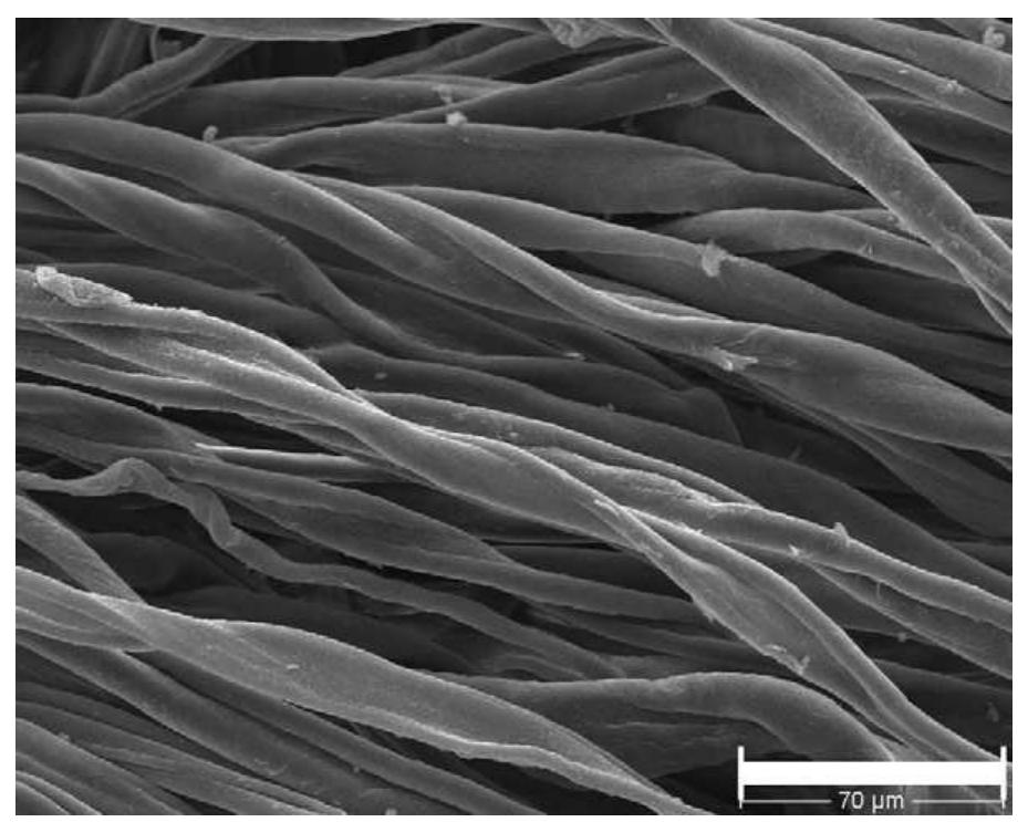 Figure 2 - from The Influence of Polymers, Surfactants and