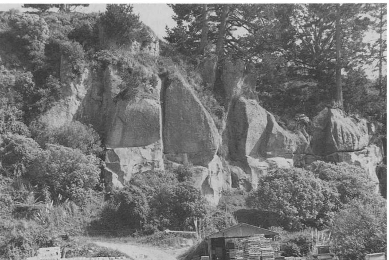 Typical columnar jointing pattern displayed by many new