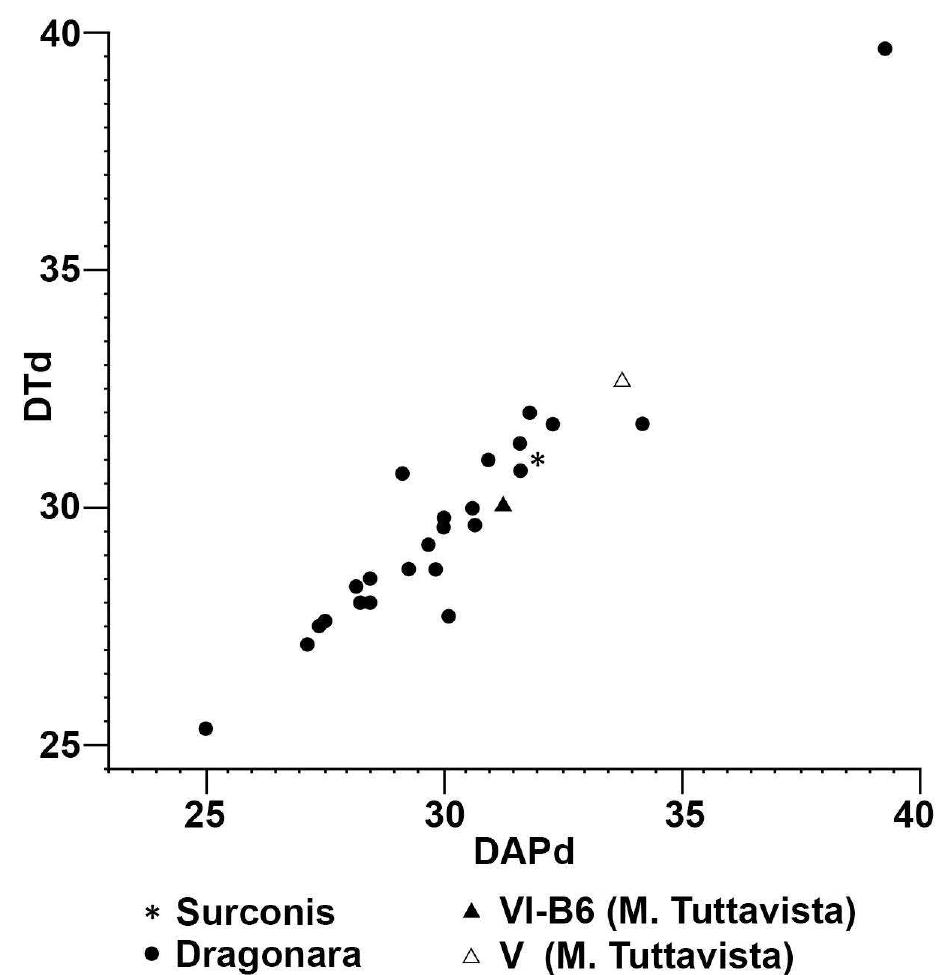 Figure 8 - from Quaternary mammal fauna from “Surconis”,