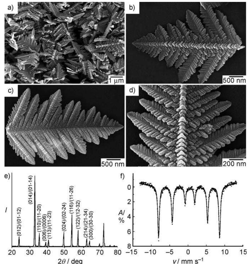 Electron microscopy images and chemical characterization of