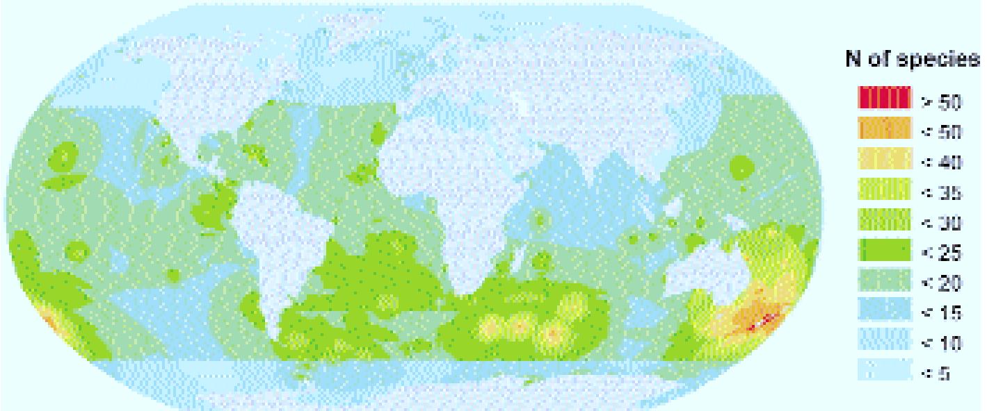 Map of predicted at-sea distribution of seabird species