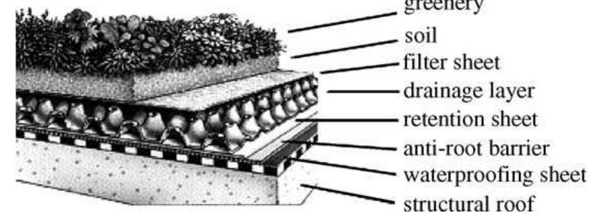 The different layers of a standard green roof.