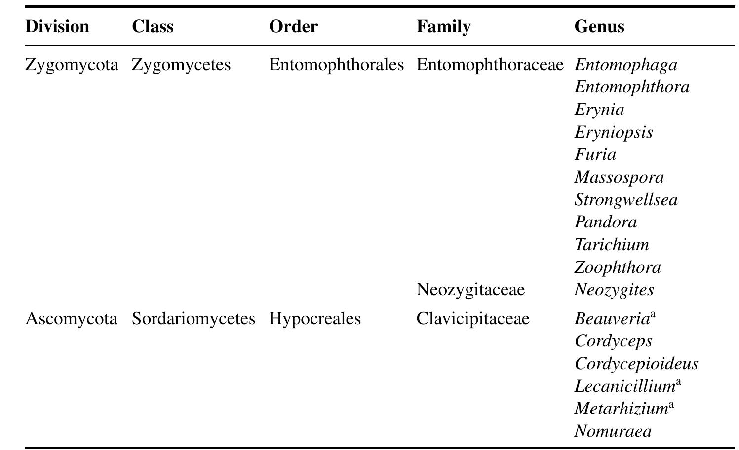 Current classification of the genera of entomopathogenic
