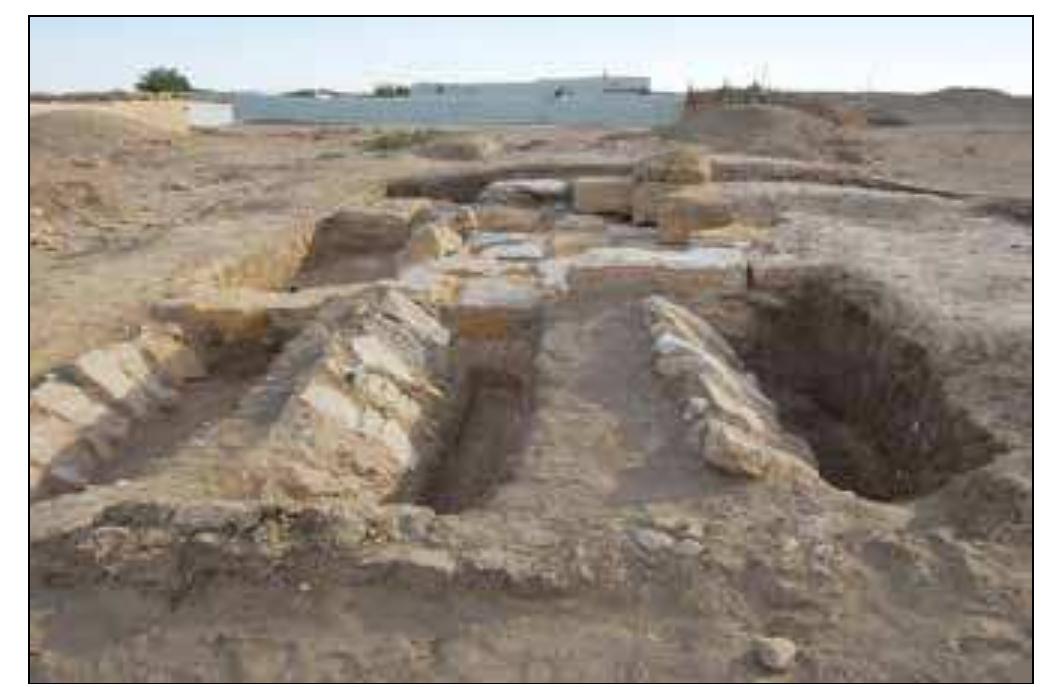 Rebecca Bradshaw - University of Cambridge