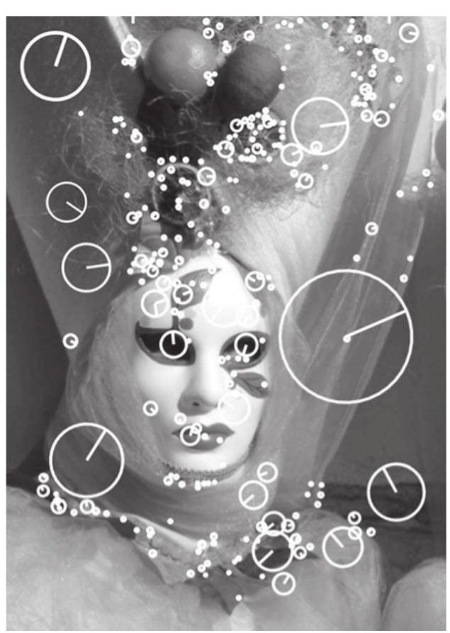 Sift features shown with orientation and scale.