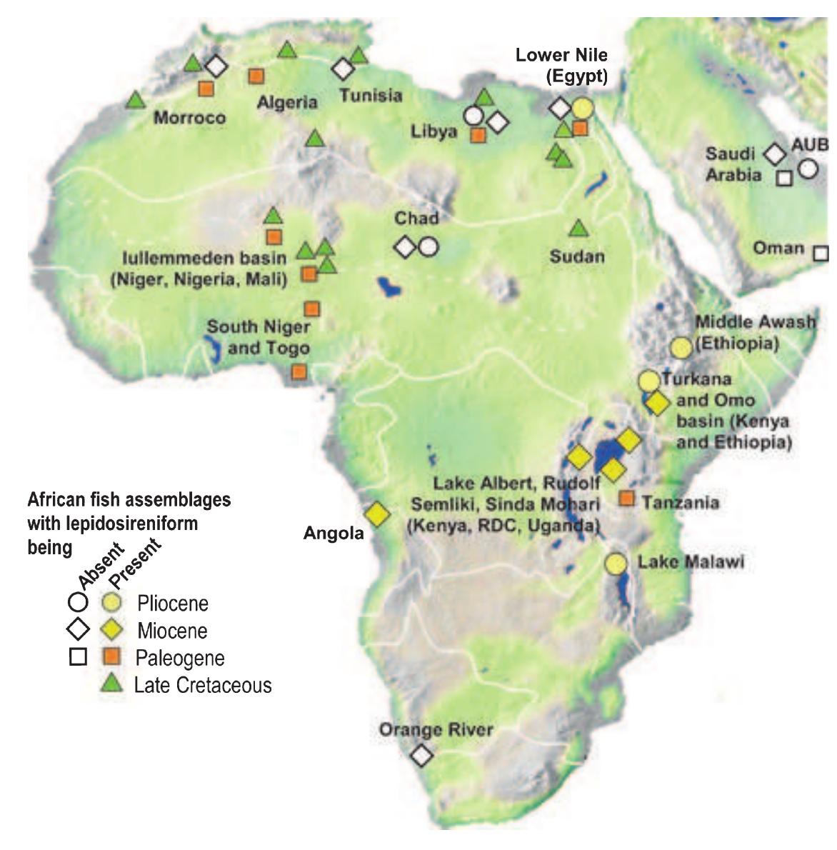 Distribution of fossil lepidosireniforms in africa. fossil