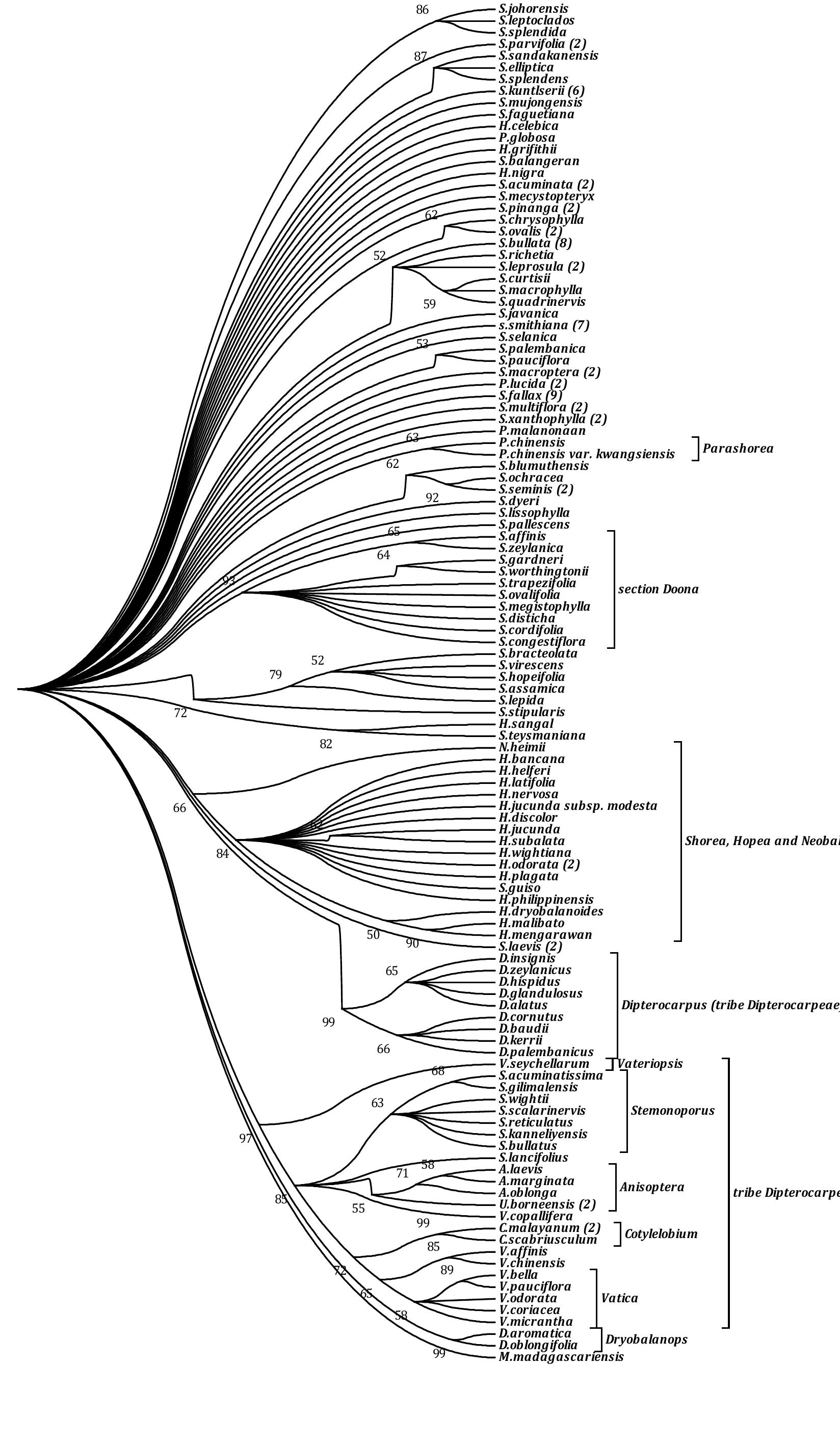 Figure 14 - DNA sequence-based Identification and molecular