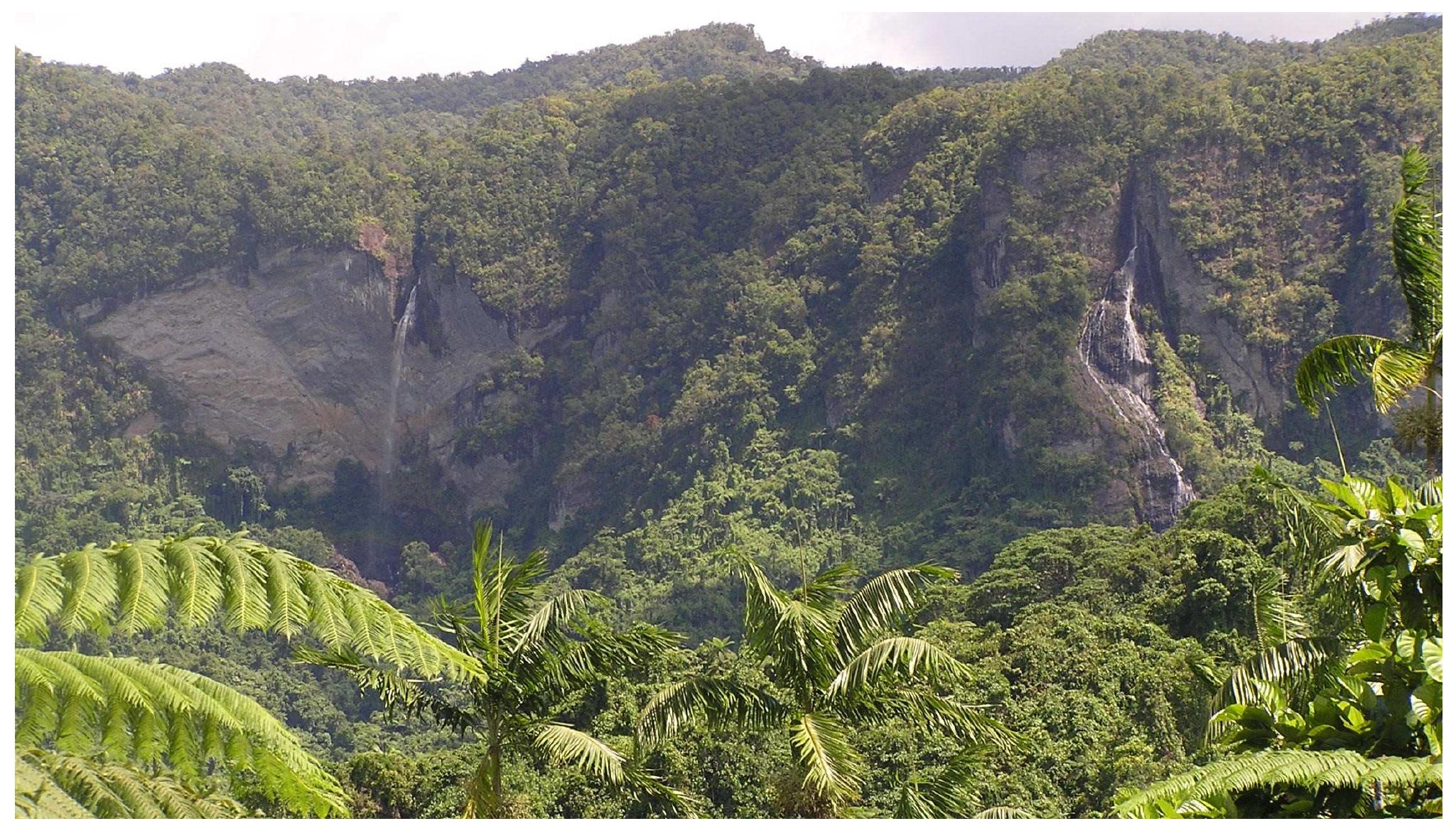The sbca contains several forest types, ranging from