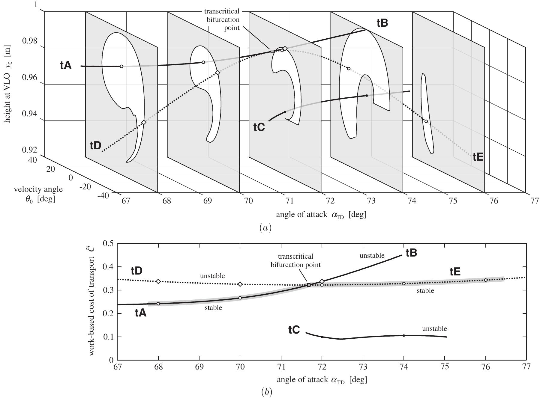 The graph (a) shows five typical basins of attraction (white