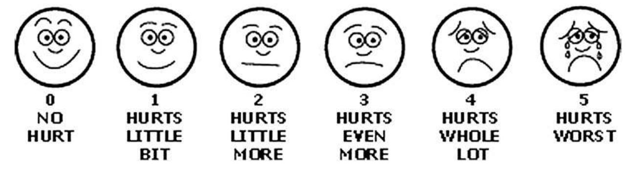 Example of a face scale.