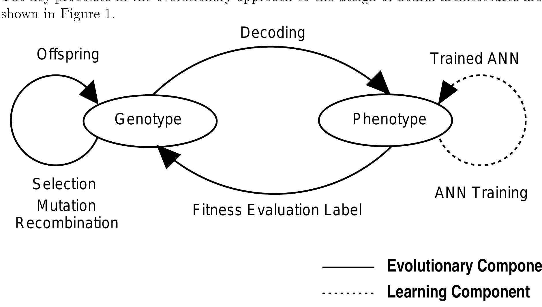 Process of evolutionary design of artificial neural networks