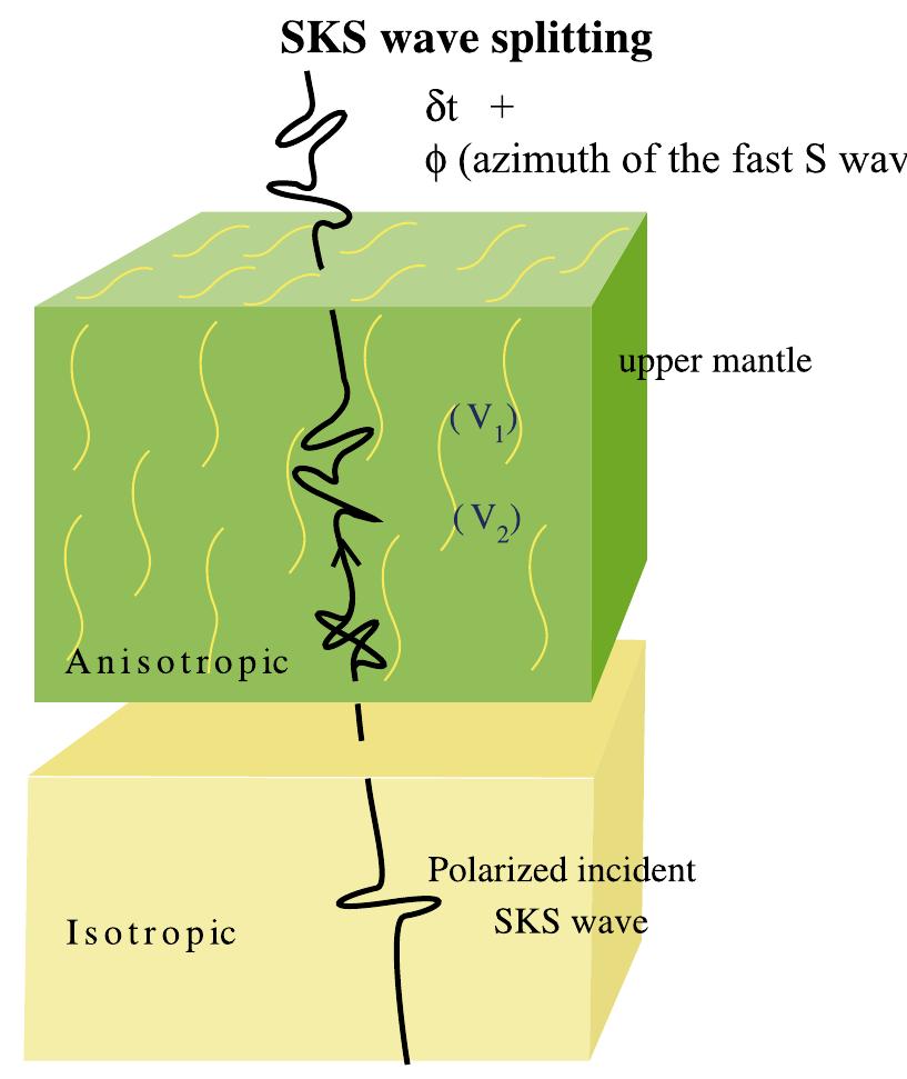 Principle of seismic shear-wave splitting due to anisotropy