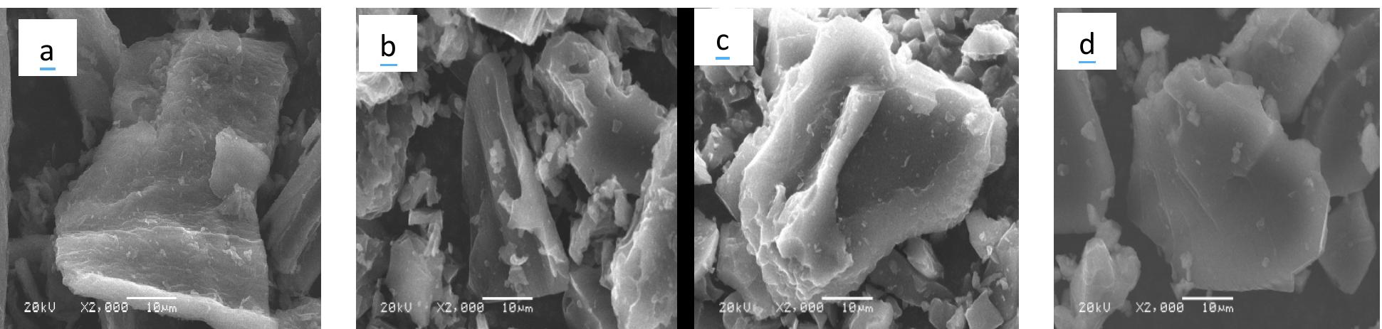 (3) scanning electron microscope images of carbon activated