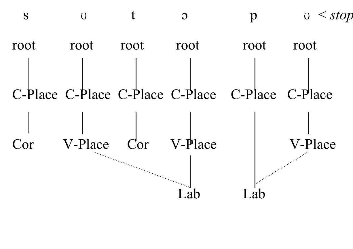 Figure 8 - VOWEL EPENTHESIS AND CONSONANT DELETION IN