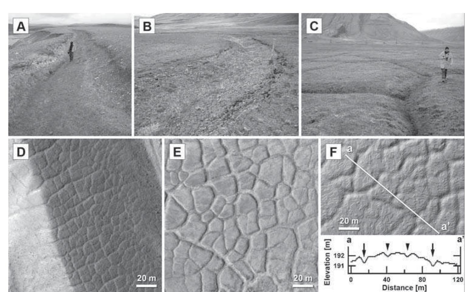 Polygons on mars and svalbard. (a) large trough-bounding
