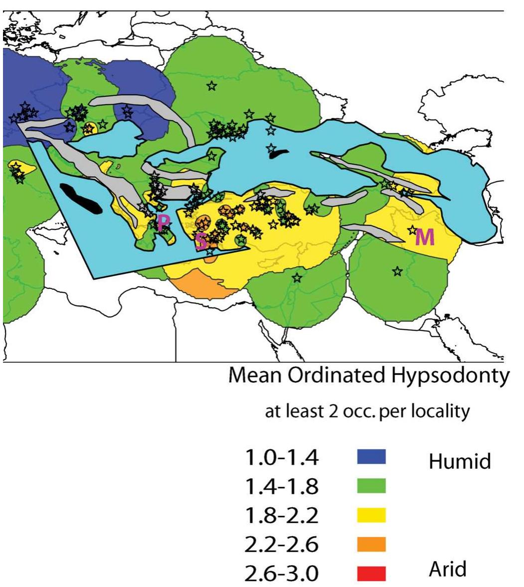 Map of tooth crown height for the late miocene of the