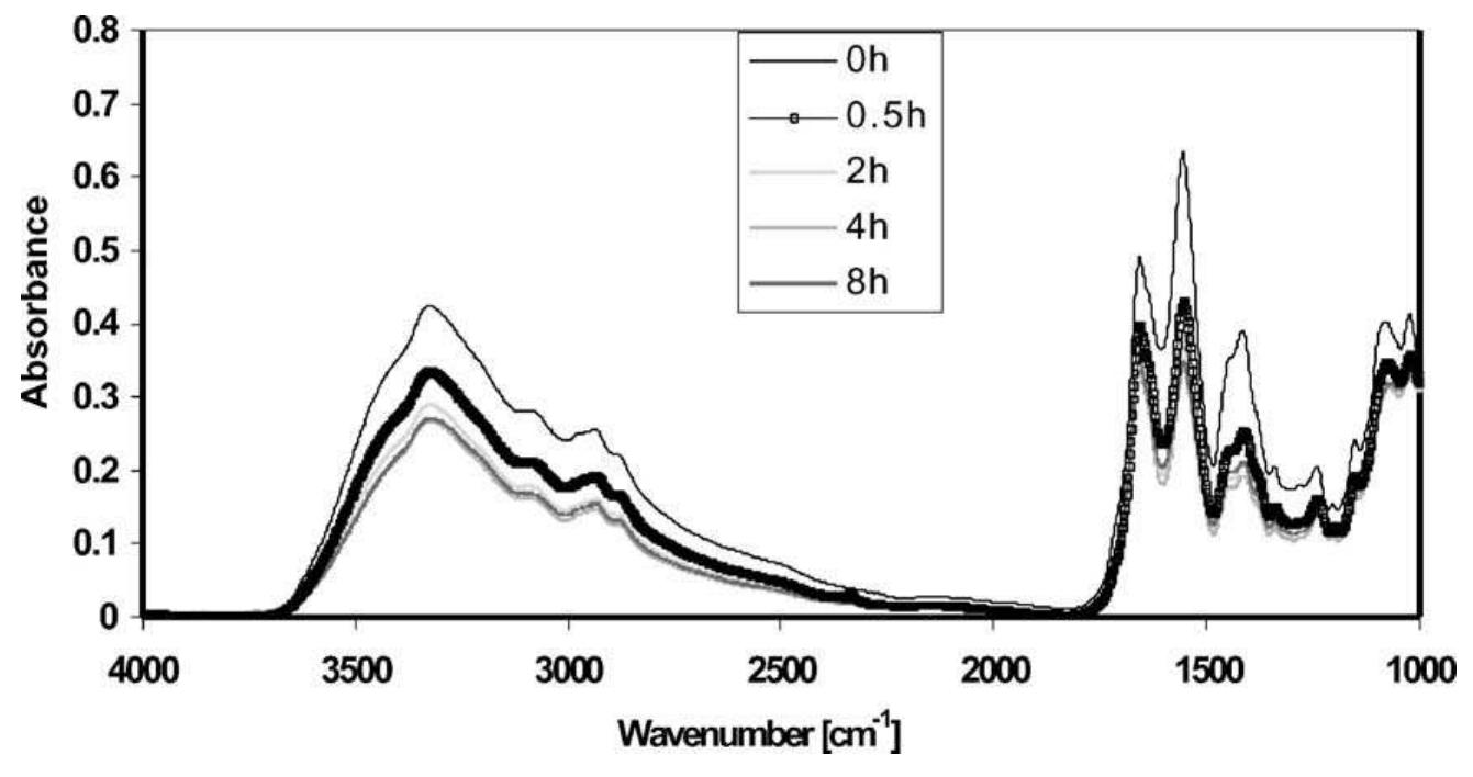 Ftir spectra of a collagen-chitosan film (60/40) before and
