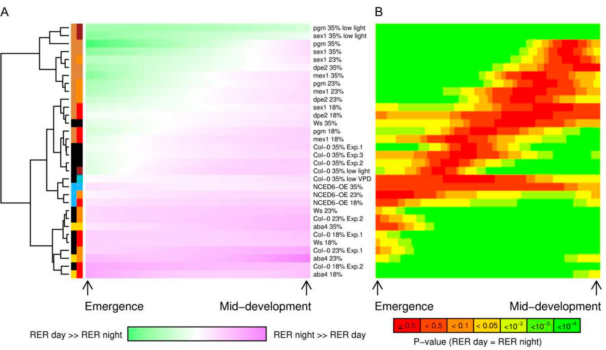 Heat map of the expansion patterns. a, hierarchical
