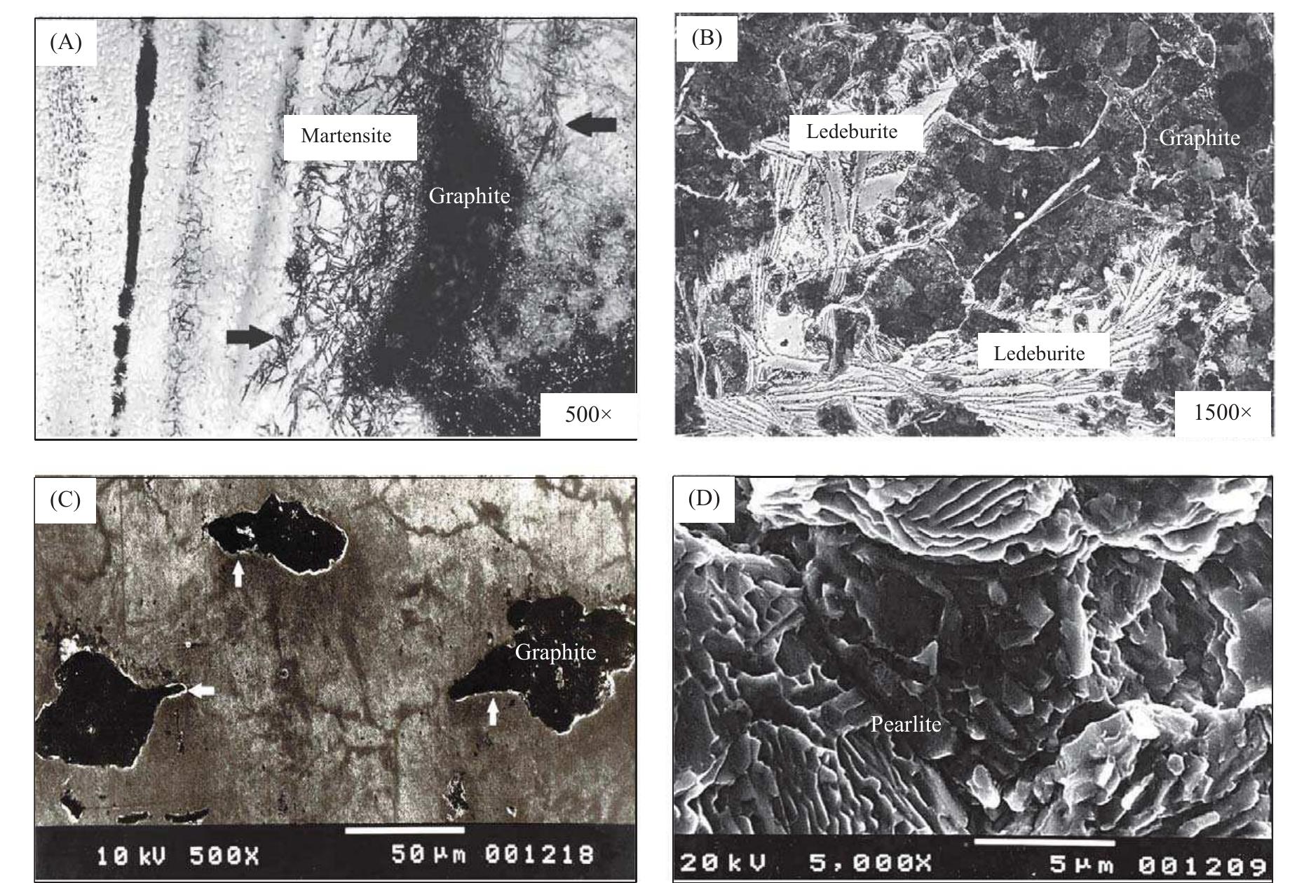 Sem micrographs showing the microstructure of astm a