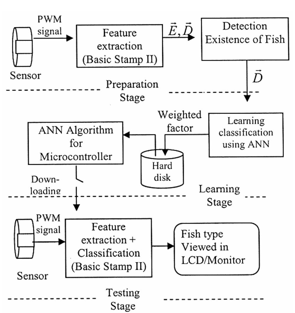 —schematic of fish detection and classification