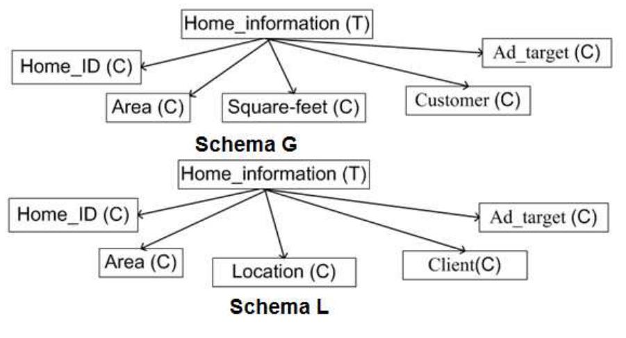 G and l schemas in graph format.