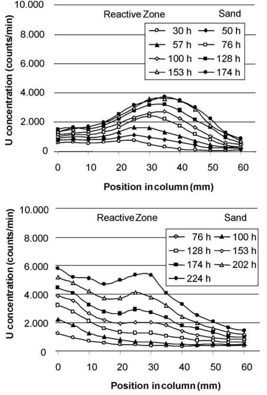Uranium Distribution Along Column Axis Within The Test