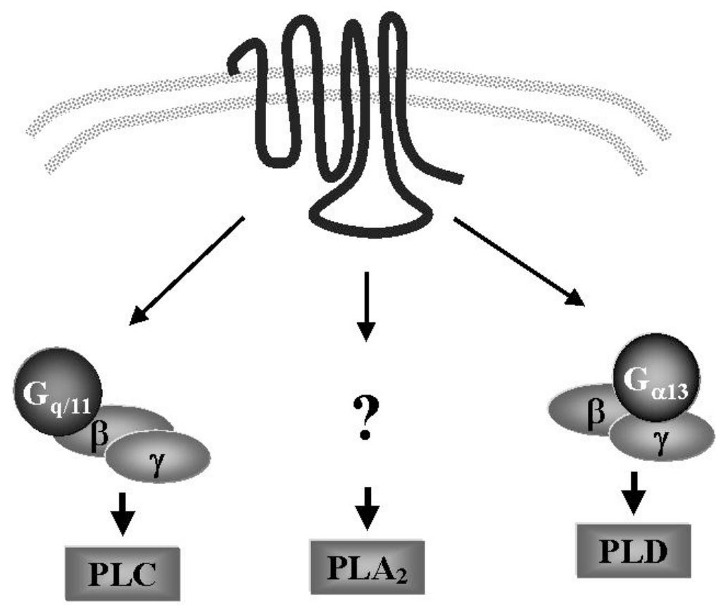 (3). schematic drawing showing the different signal