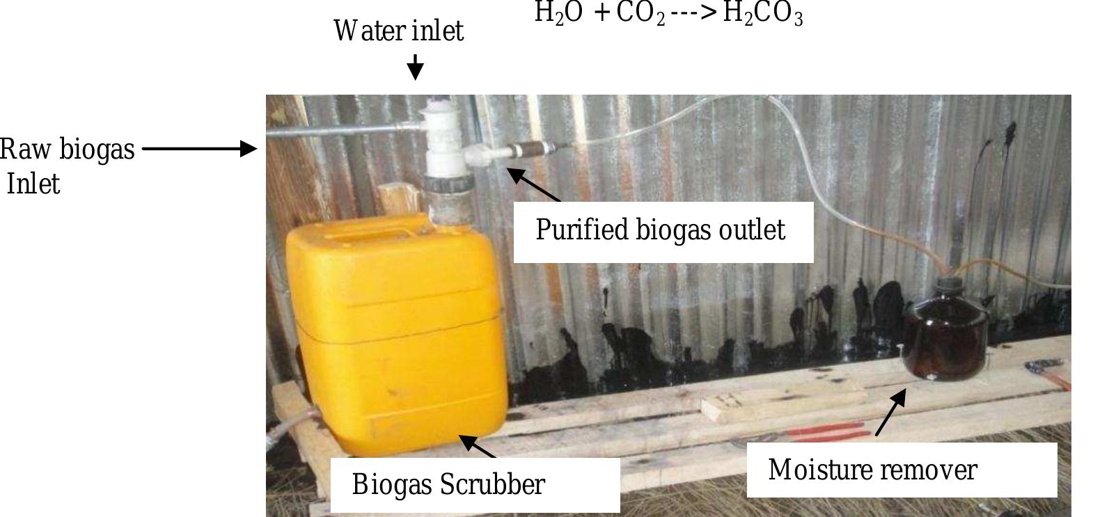 Biogas scrubbing system