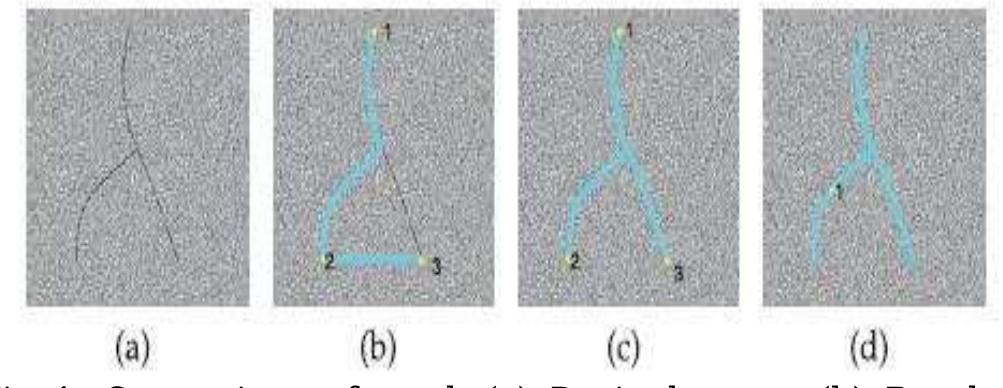 Figure 1 - Survey on Curve Detection Algorithms