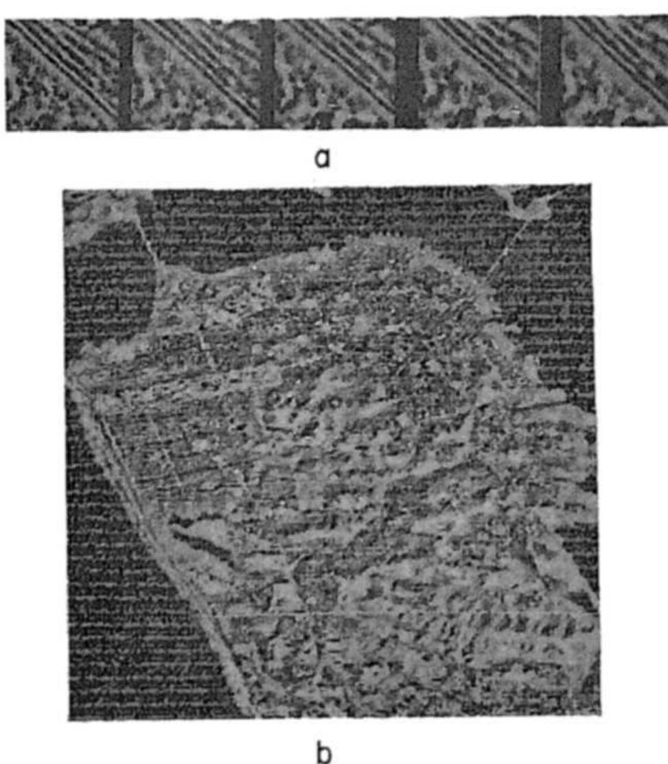 Fra. 4. examples of local histogram modification: (a)