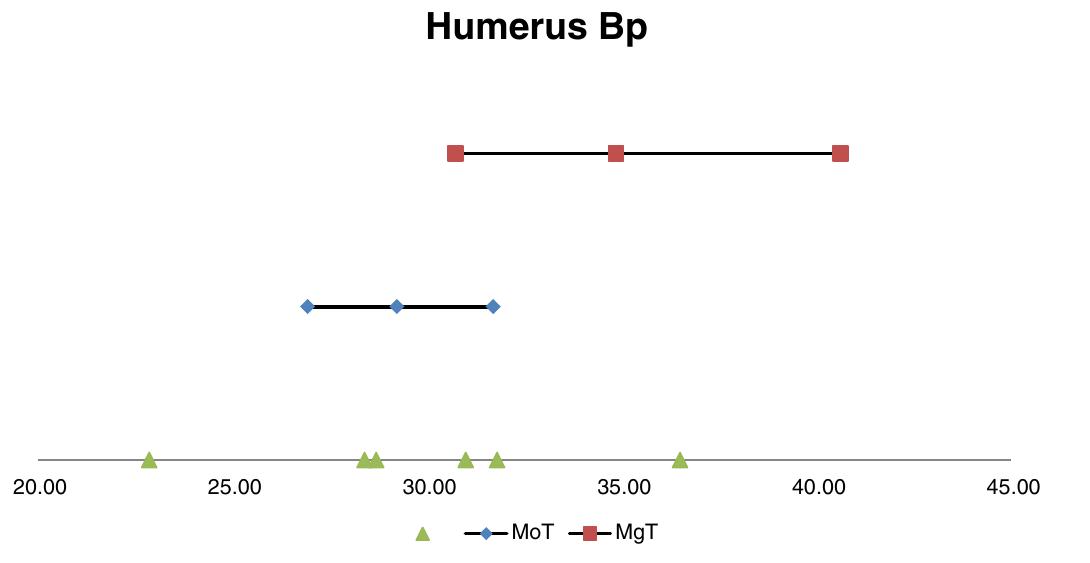 Comparative graph for the proximal humerus breadth (bp) of