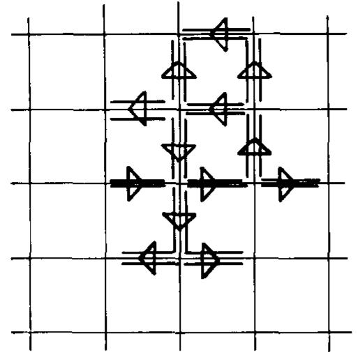 Schematic view of model c random forces, creating a local