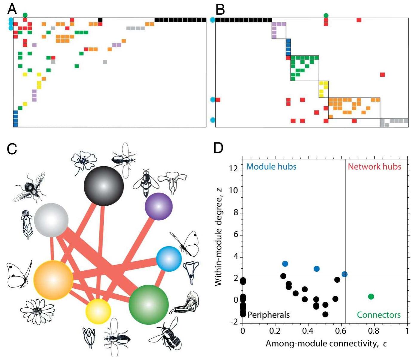 Pollination network structure and species roles. the example