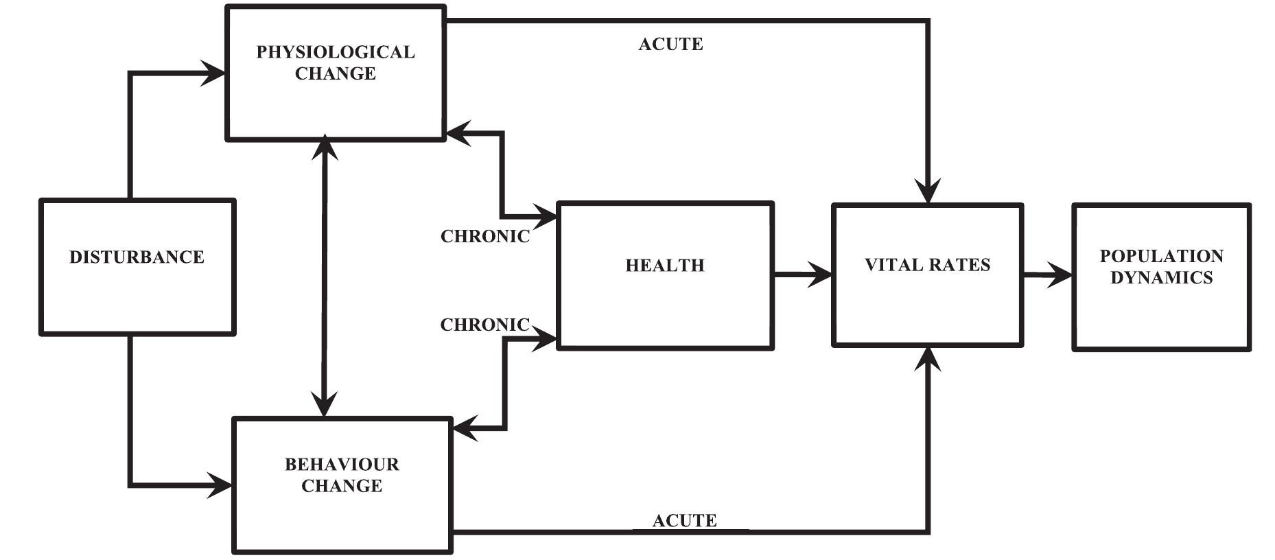 A diagram of the pcod framework linking disturbance to