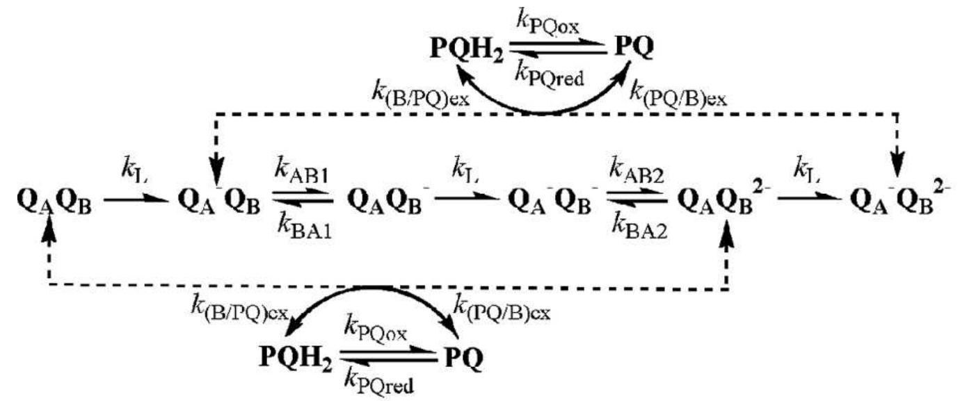2. a scheme of the teg model. the mechanism of the two