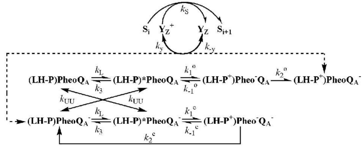 3. a scheme of the rrp model. the original rrp model is